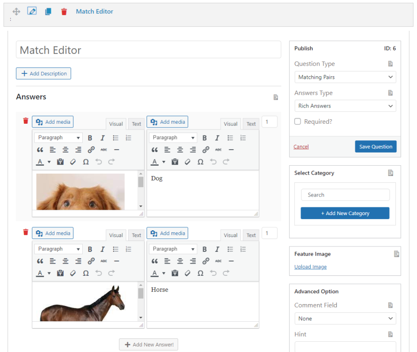 QSM Matching Pairs - Documentation Quiz And Survey Master