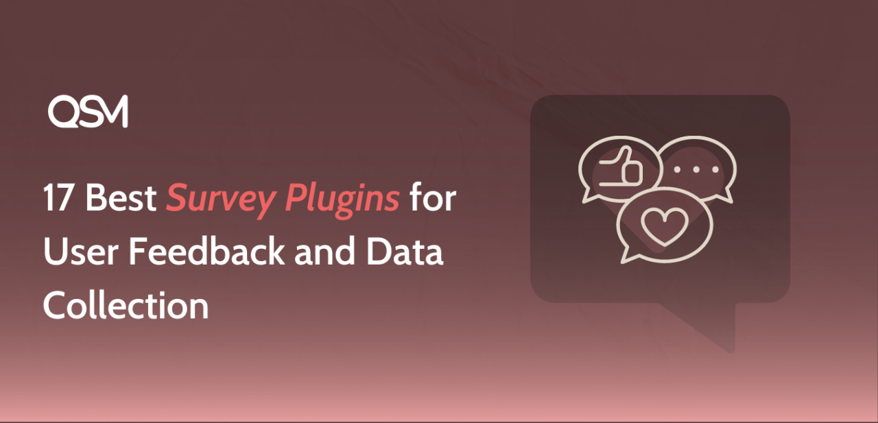 17 Best Survey Plugins for User Feedback and Data Collection - QSM